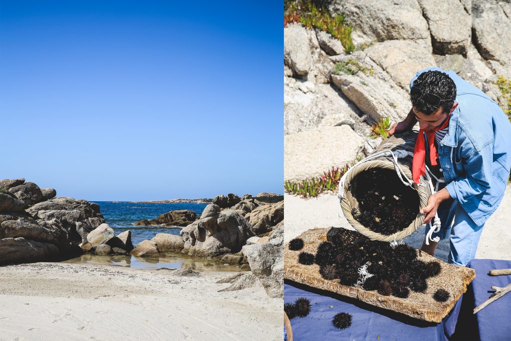 Un weekend à Murtoli avec le chef Mathieu Pacaud – Plus une miette dans ...